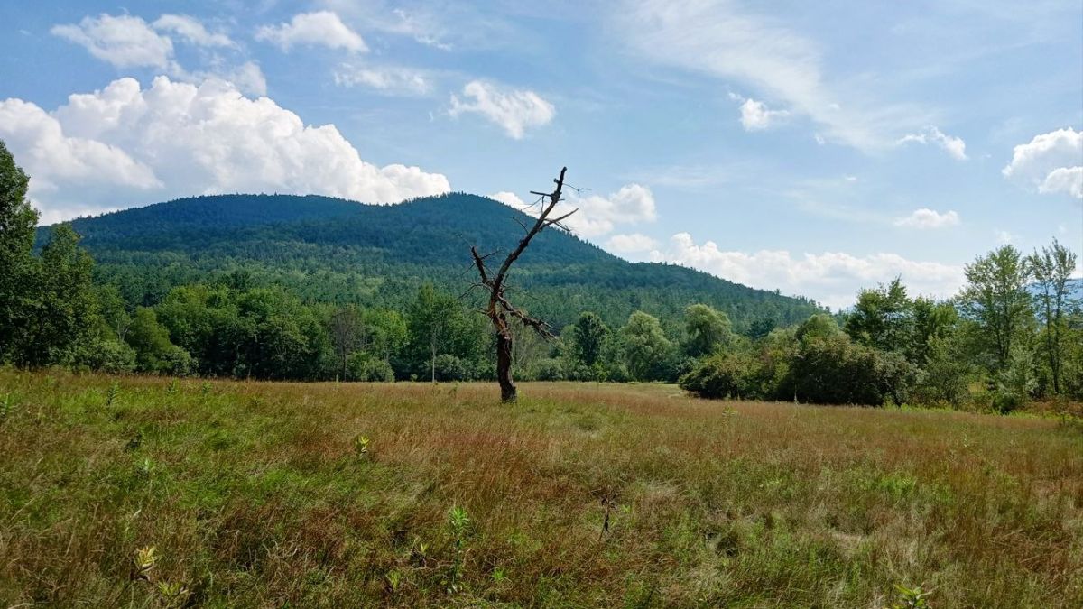 Town of Keene, New York – Established in 1808